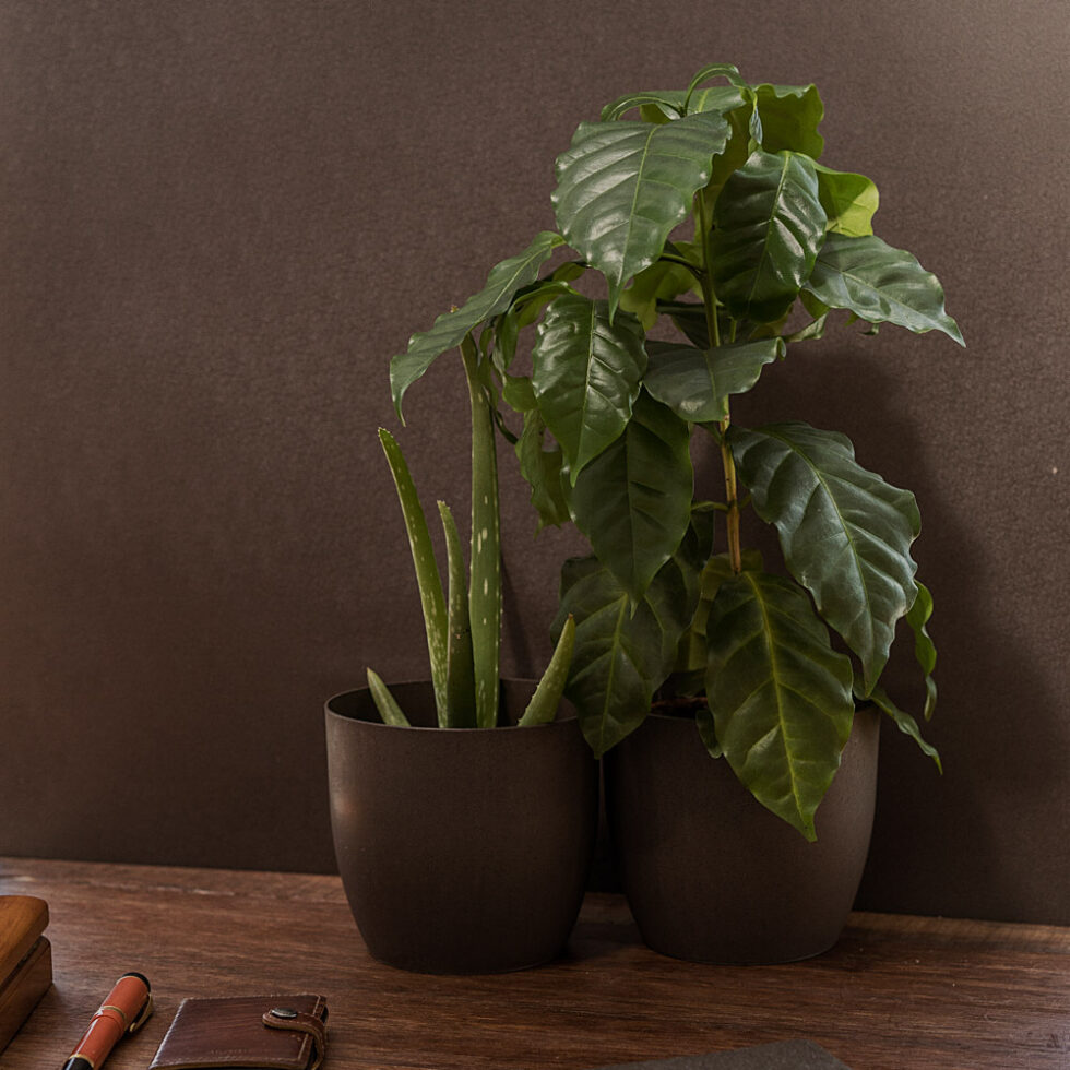 Coffee Panel Arabica Black 5mm - Coffee Based