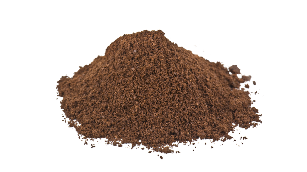 Plancker - Coffee Based